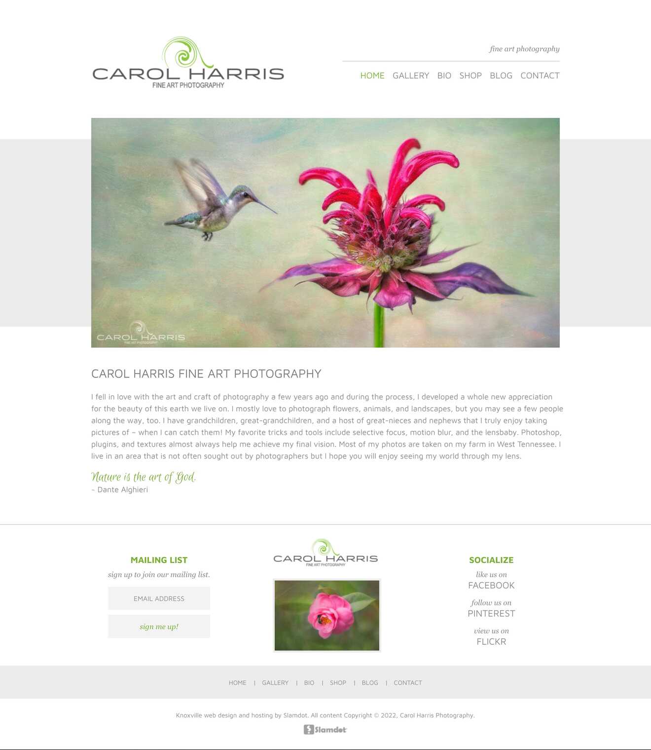 Carol Harris Photography Client Spotlight - Slamdot